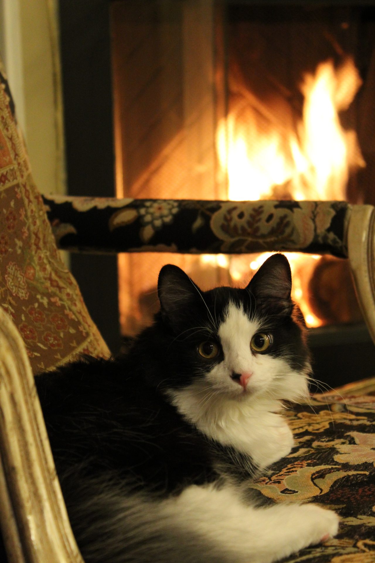 Steirische Haushalte heizen am liebsten mit Holz — SteierMag